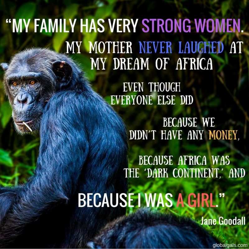 “Women Globetrotters of History” – Jane Goodall - Global Gals ...